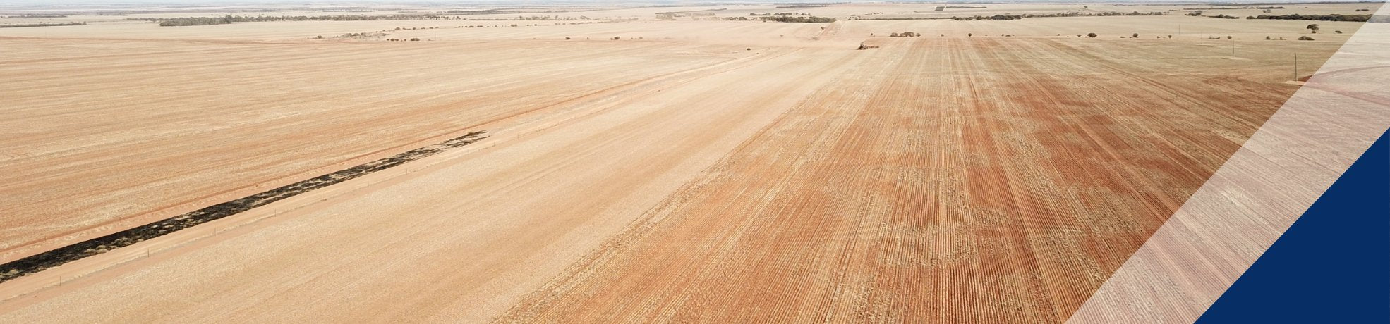 Gang Type Press Wheels